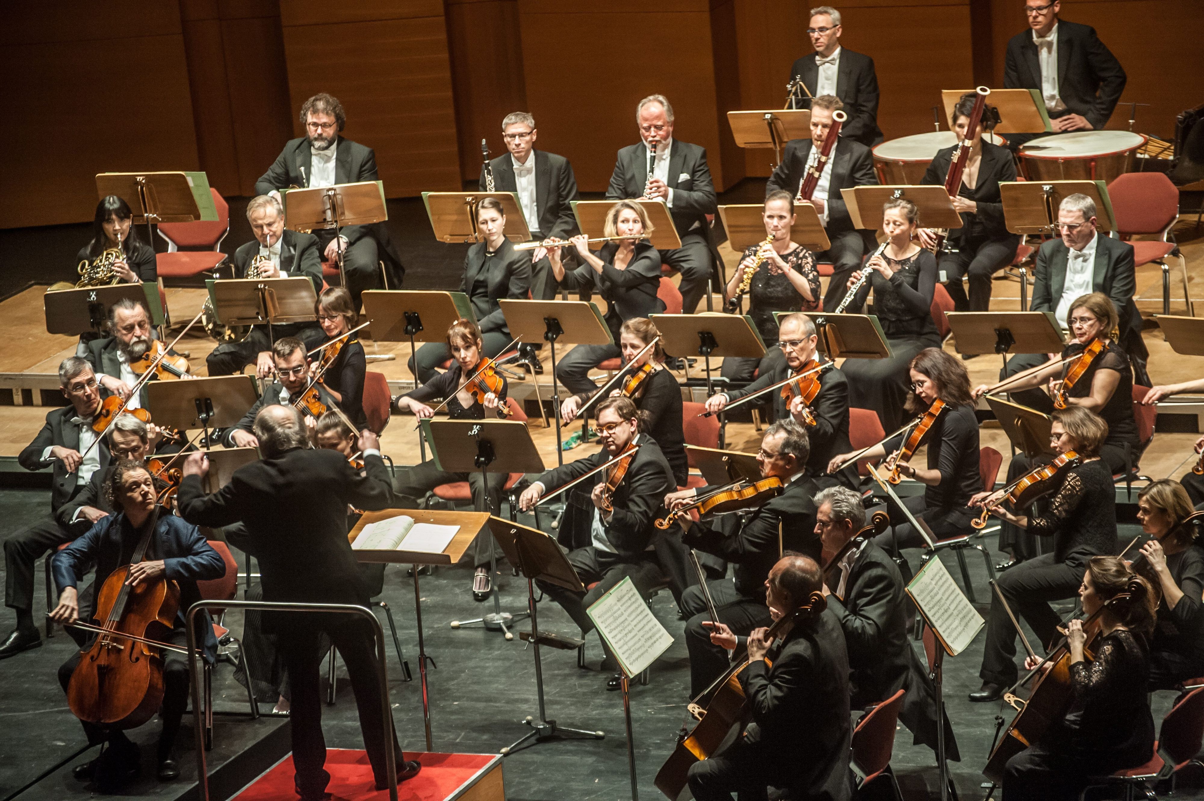 Leverkusen: Wie die Westdeutsche Sinfonia in die Zukunft blickt ...